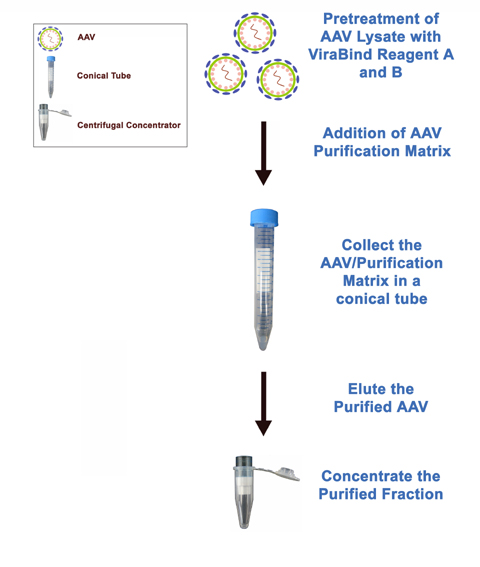 Aav Purification Standard Kit